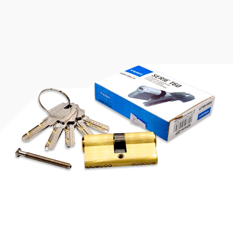 CYLINDRE T60 ASSA ABLOY TESA - BniDark